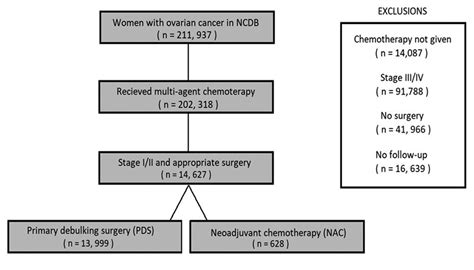 Chemotherapy Diagram