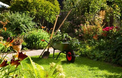 Gartentipps Im Juli Hei E Tage F R Ihren Garten