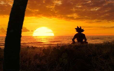 Dragon Ball Realistic Wallpapers Top Free Dragon Ball Realistic