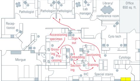 Histology Lab Design Raremzaer
