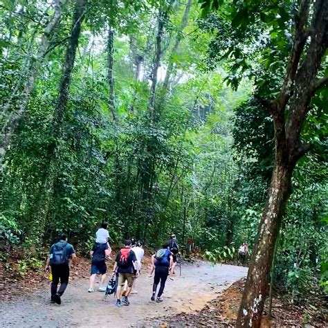 Pulau Ubin Chek Jawa Broadwalk Ma Kuang College Of Traditional