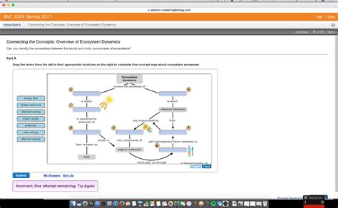 Solved Can You Identify The Connections Between The Abiot