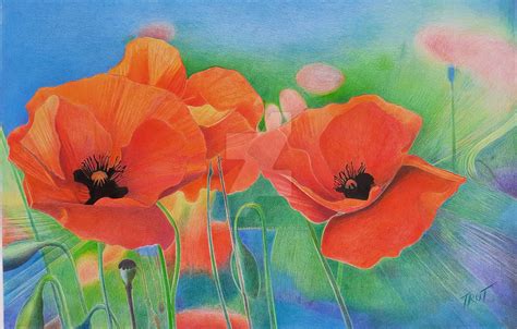 Makovi 2022 By Grooveman59 On Deviantart