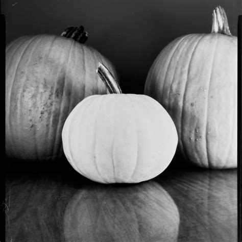 Chriseaves On Tumblr