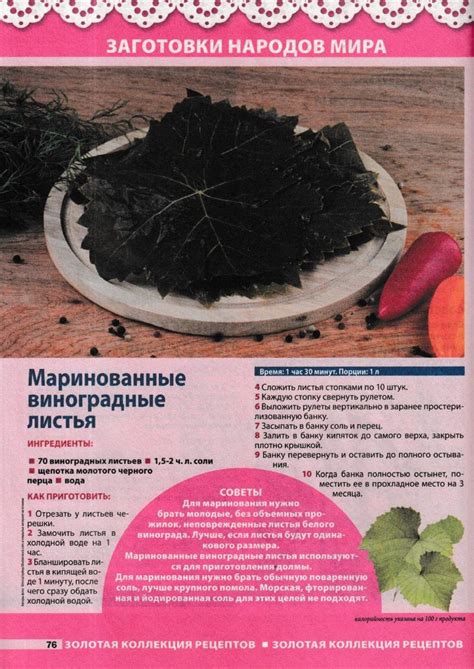 Маринованные виноградные листья Еда Кулинария Вкусняшки