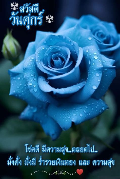 วันศุกร🌿💙 ในปี 2024 ดอกไม้สีม่วง สุขสันต์วันศุกร์ วันศุกร์