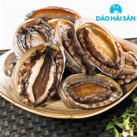 Bào Ngư Làm Món Gì Ngon Top 7 Món Ngon Dinh Dưỡng Cho Bữa ăn Gia đình