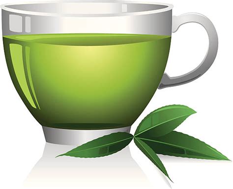 Green Tea Clip Art Vector Images And Illustrations Istock