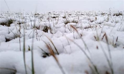 Мэдээллийн Аюулгүй Байдал Serune Mn Ёс зүйтэй мэдээлнэ