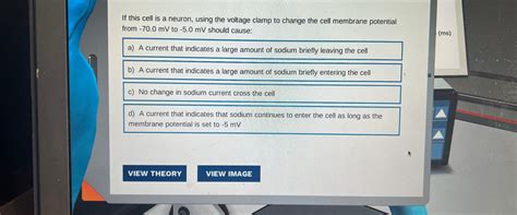 If This Cell Is A Neuron Using The Voltage Clamp To