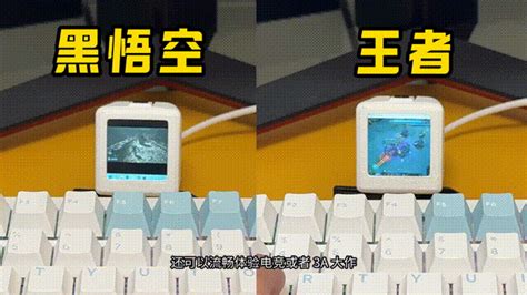 花60元，diy了一个ai机器人，能聊天，会认人
