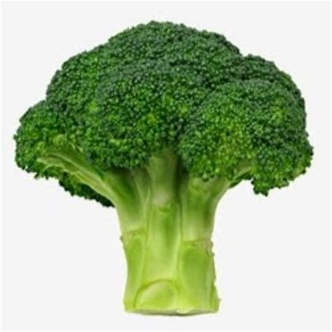 Stream Broccoli Music Listen To Songs Albums Playlists For Free On