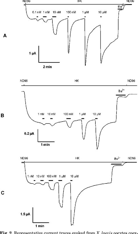 Figure 1 From Interaction Of P Fluorofentanyl On Cloned Human Opioid Receptors And Exploration