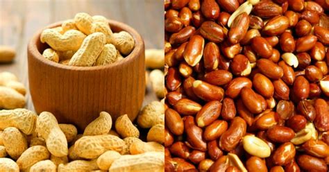 Как вырастить АРАХИС в домашних условиях всё что нужно знать Сад и