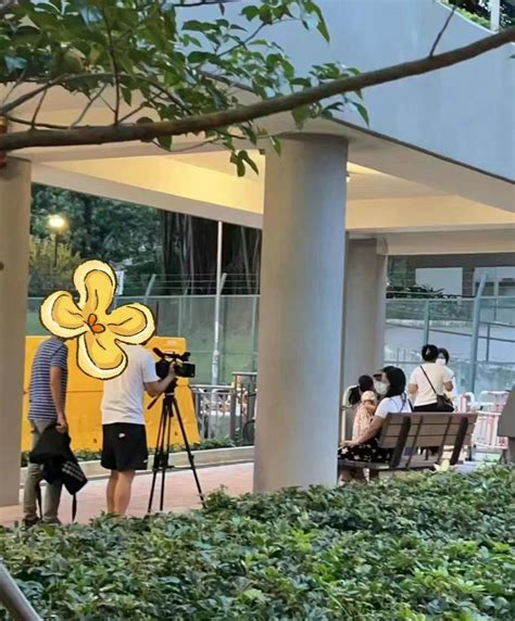 疑似何伯夫妇回港上《东张西望》再控诉？阮兆祥「神复制」新何太激似度99超爆笑 星岛日报