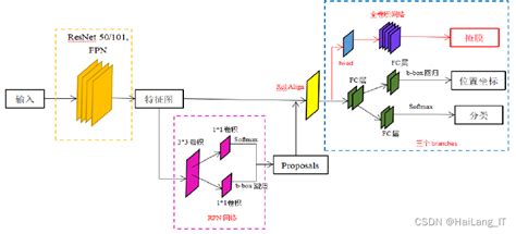 毕业设计选题：基于深度学习的蝴蝶种类识别检测系统 人工智能 yolo 计算机视觉 蝶类分类系统 csdn博客