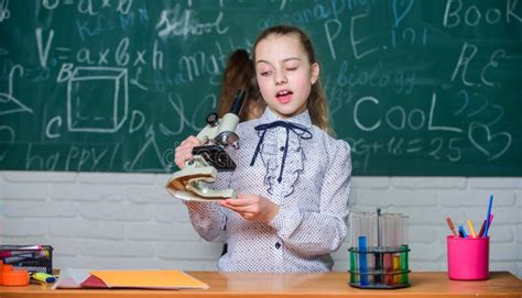 Observe Las Reacciones Qu Micas Escuela De La Ense Anza Convencional Experimento Educativo De
