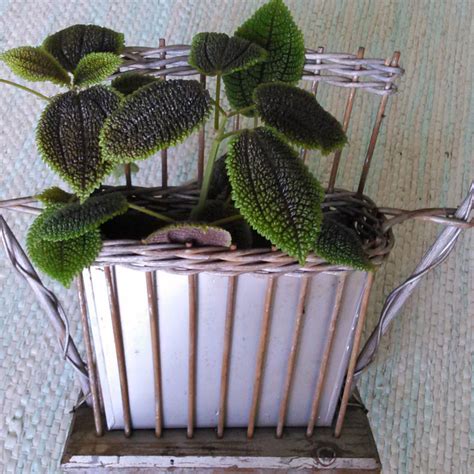 Lined Easter Basket Etsy