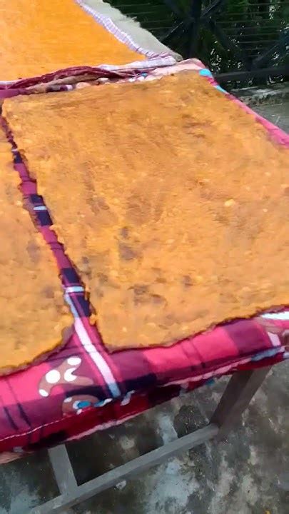 Gaav Ke Desi Aam Ki Aam Papdi Shorts Village Villagelife Youtube