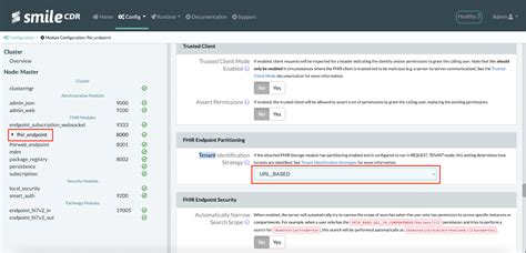 Smile Guide Multi Tenancy Partitioning