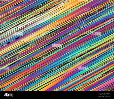 Caffeine Crystals Polarised Light Micrograph Found In Numerous Beverages Such As Tea And