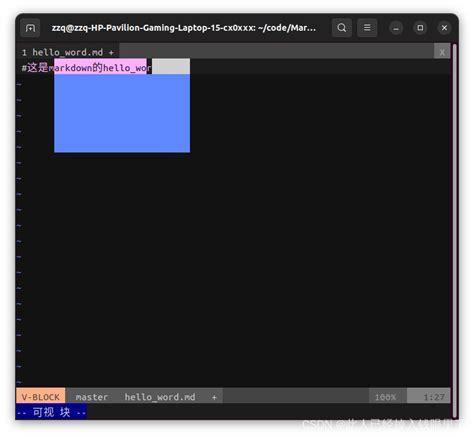 vim指令操作学习（正在补充） vim zz命令 csdn博客
