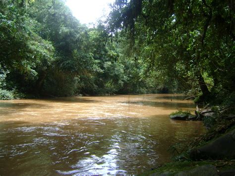 La Provincia De Huallaga El Río Huayabamba Discurriendo Por Nuestra