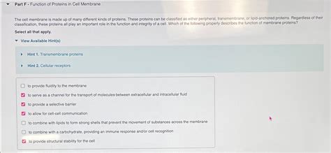 Solved Part F ﻿function Of Proteins In Cell Membranethe