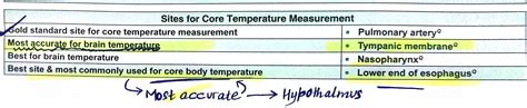 Site Of Core Body Temperature Monitoring Physiology Arteries Membrane