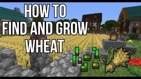 Wheat Seeds Minecraft
