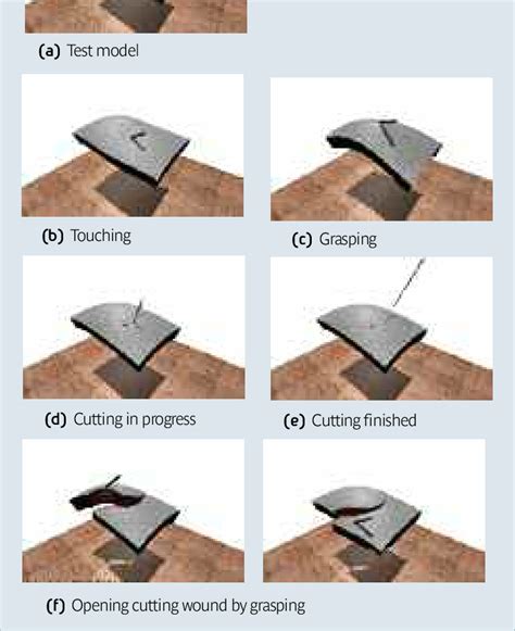 Surgery Simulation On A Test Model Download Scientific Diagram