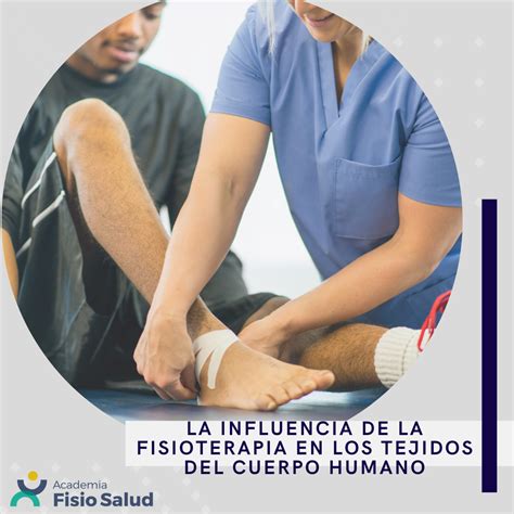 La Fisioterapia En Los Tejidos Del Cuerpo Humano