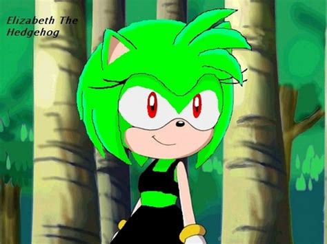 Sonic Fancharacter Group Fan Club Fansite With Photos Videos And More