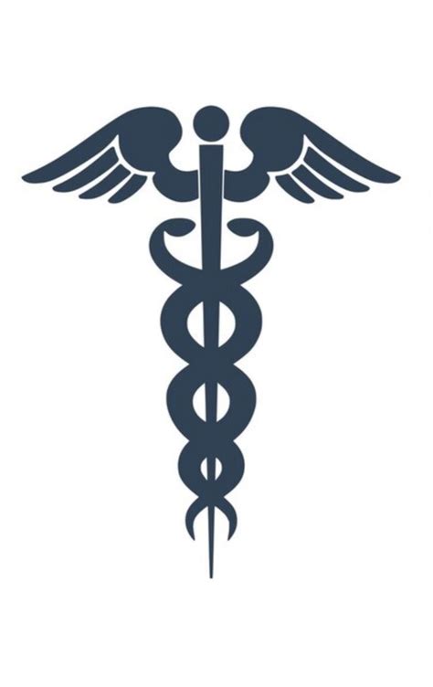 Fara Farzaneh Foroughinia On Linkedin Health