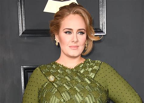 Singer Adele Hits Back At Critics After Being Compared To Fiona From Shrek