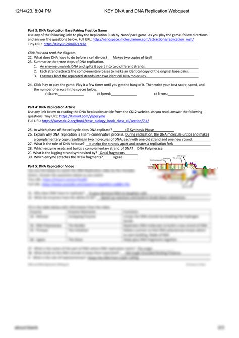 Solution Key Dna And Dna Replication Webquest Studypool