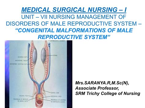 Nursing Management Of Patient With Hypospadiasis And Epispadias Ppt