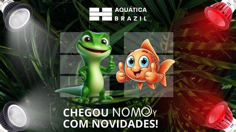 NOVIDADES NOMOYPET NA AQUÁTICA BRAZIL! VOCÊ PRECISA VER ESSES ENFEITES ...