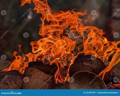 Red Burning Fire Of Coconut Shells Stock Image Image Of Flower Light