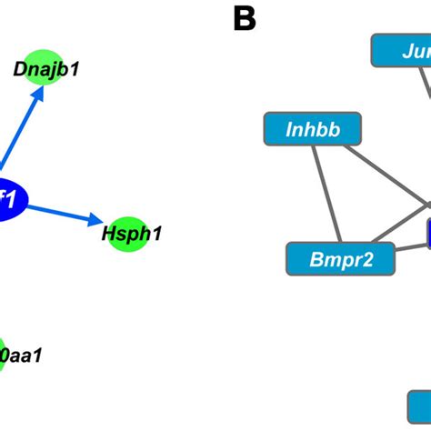 Analysis Of Master Regulator Genes Of Degs In The 25 Mgkg Cms Treated