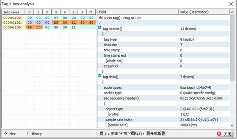 Audioaacadts 追光者