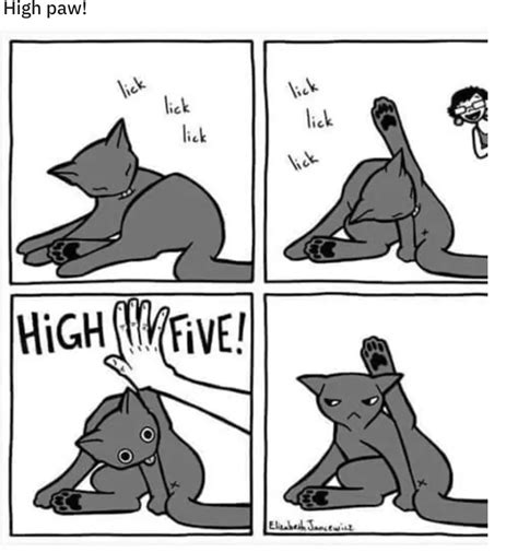 Memes