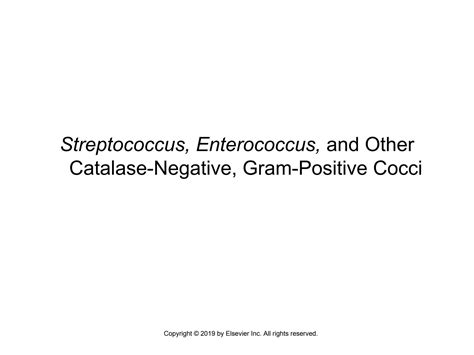 Solution Streptococcus Enterococcus And Other Catalase Negative Gram