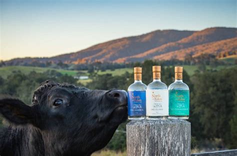 Hops Farm And Gin Tasting Tour ⋆ Sapphire Coast Buslines