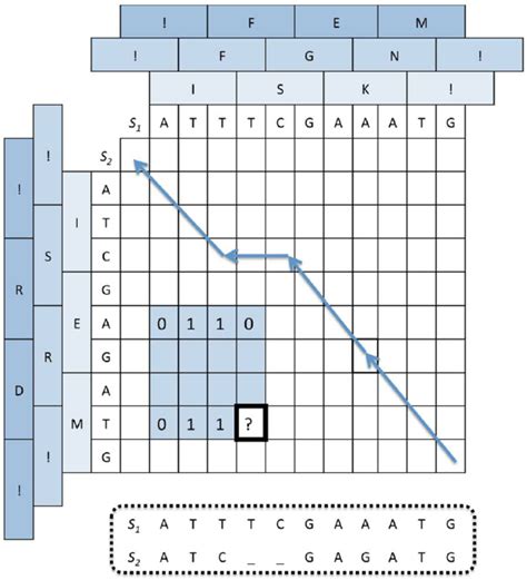 Alignment Of Two Dna Coding Sequences Like For Classical Download