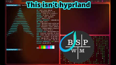 skinning every x11 window manager to look like hyprland youtube