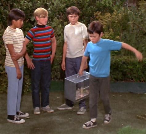 Fake Heres The Story Every Episode Of The Brady Bunch Reviewed