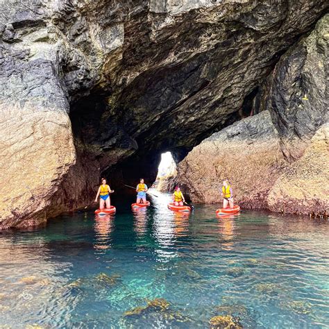 Jungle Sup 2026 All You Need To Know Before You Go W Reviews