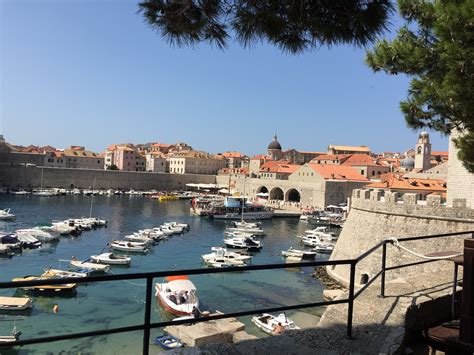 About — The Echo Foundation