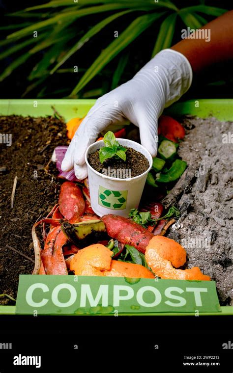 The Women Ready To Compost And Composted Soil Cycle As A Composting